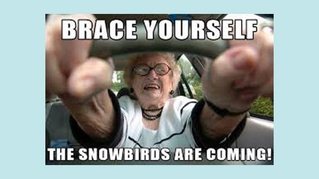 5 Things You Never Ask A Snow Bird - Filter Free Parents