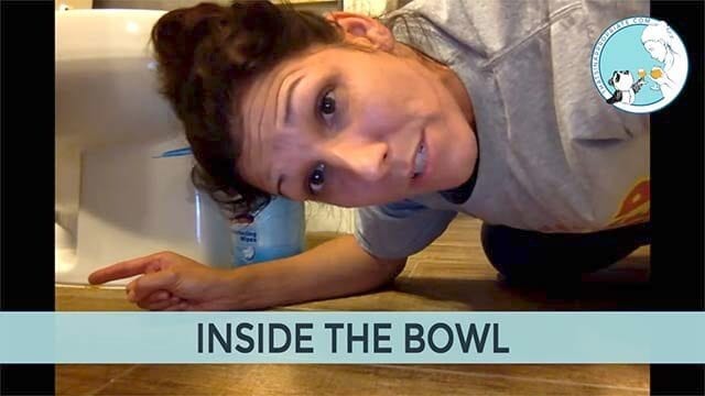 Inside The Bowl: A Mother's Struggle - Filter Free Parents