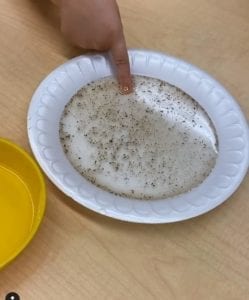 Teacher's Viral Pepper Experiment Shows Kids Why Soap is Essential ...