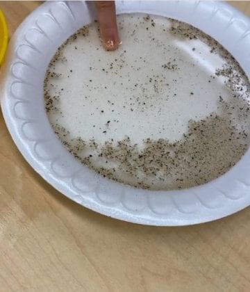 Teacher's Viral Pepper Experiment Shows Kids Why Soap is Essential ...