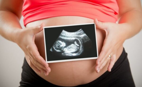 The 20 Weeks Pregnant Ultrasound – What to Expect At Your Anatomy Scan ...