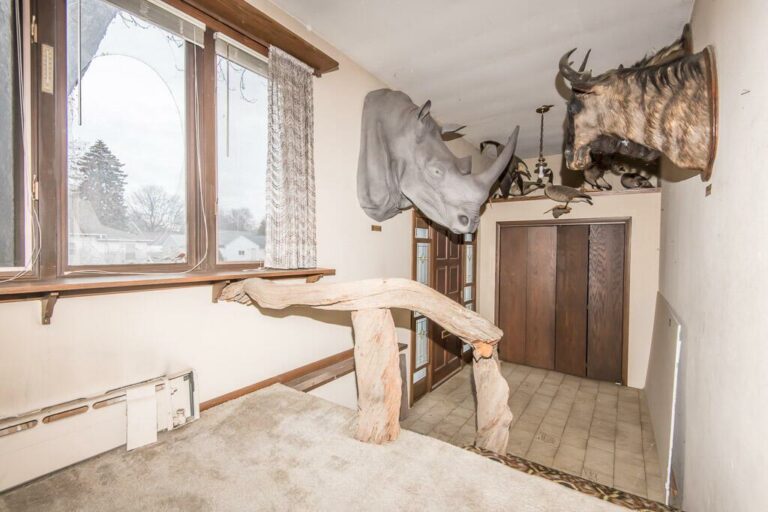 Weirdly Viral House Listing Boasting "Lots of Wildlife" Proves The ...