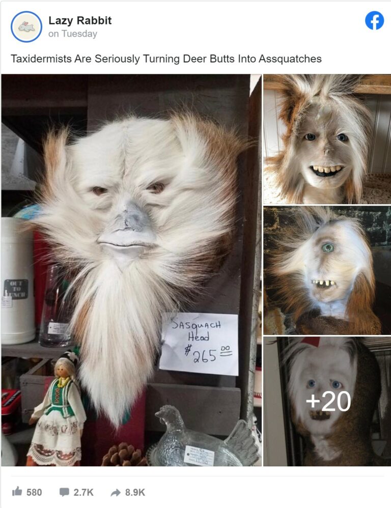 Taxidermists Are Turning Deer Butts Into "Assquatches" And We Cannot ...