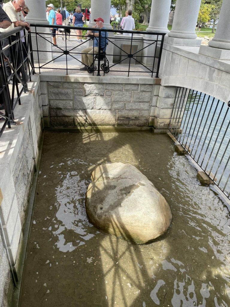 In Hilarious Viral Post, People Are Realizing How Small Plymouth Rock ...